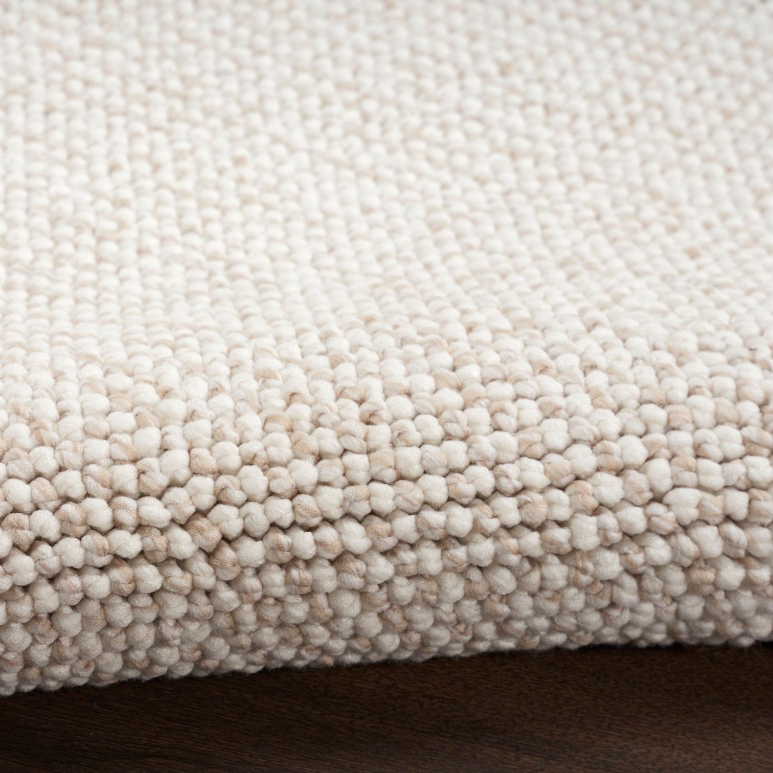 Nourison Natural Texture 2'2' x 3'9' Ivory Beige Farmhouse Indoor Rug ...